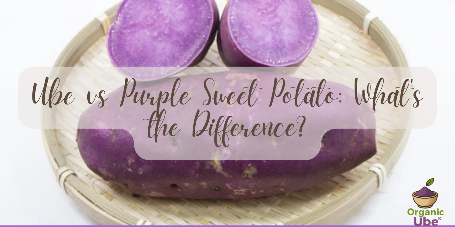 Ube vs Purple Sweet Potato: What's the Difference? – Organi-Ube UK