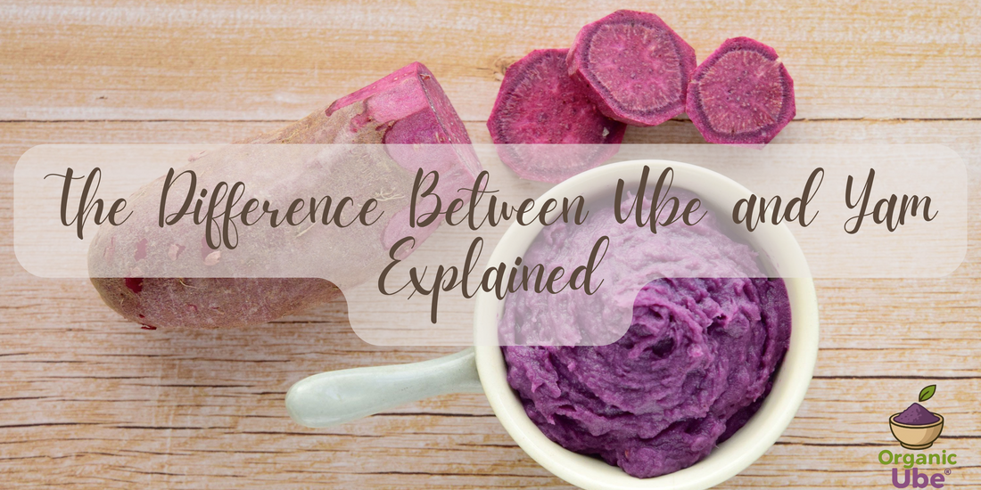 The Difference Between Ube and Yam Explained – Organi-Ube UK
