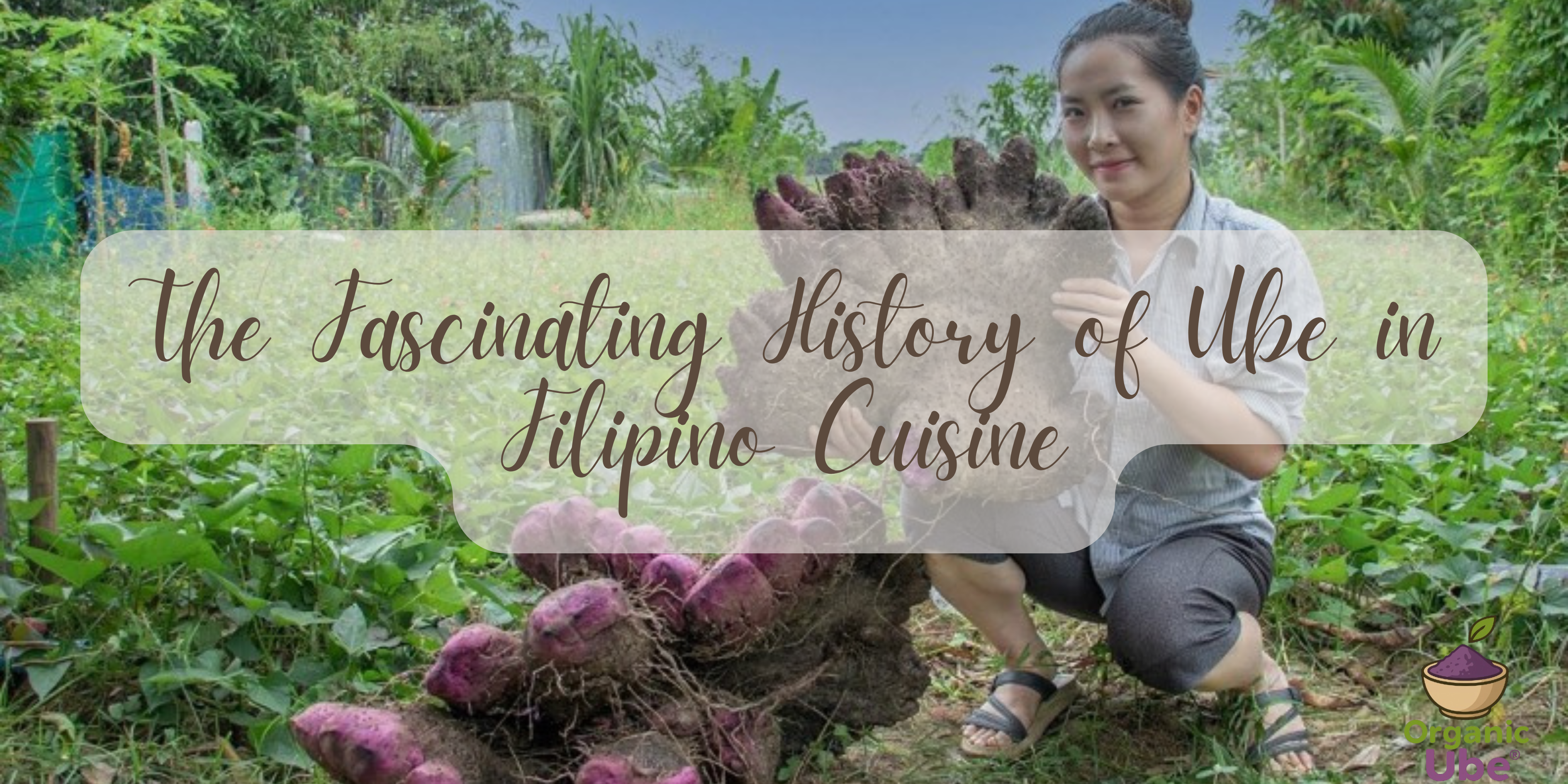 The Fascinating History of Ube in Filipino Cuisine – Organi-Ube UK